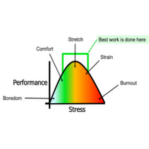 Exploring Stress | Future Quest